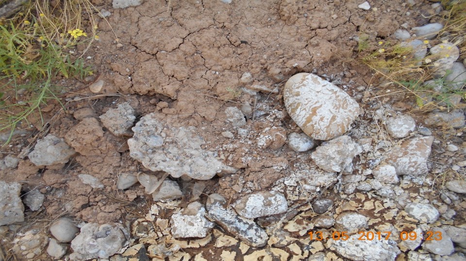 At last: officieel IED-beleid | 02 | Defensiekrant